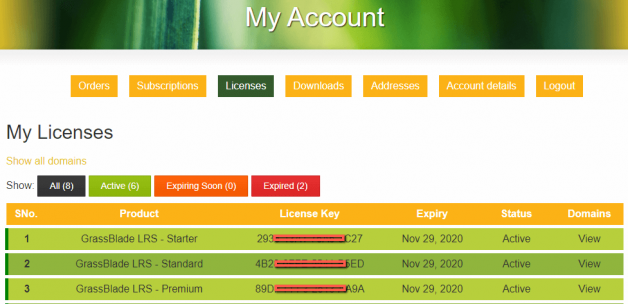 Where can I find my license key? - Next Software Solutions